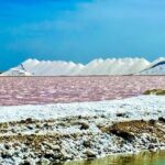 Bonaire City Tour Chubatu - The Charm of Kaya Grandi: Bonaire’s Main Street