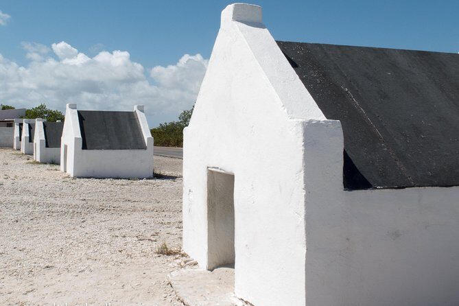 Bonaire Essentials Island Tour - Authentic Insights from Travelers