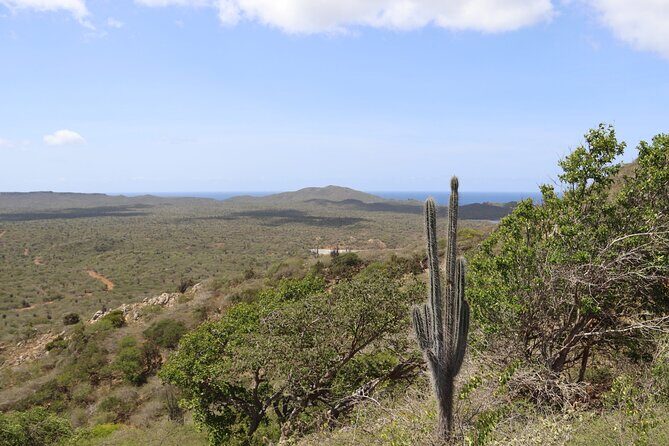 Bonaire Island North Side DiscoveryTour - Who Will Appreciate This Tour?