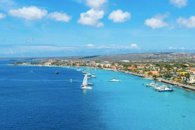 Bonaire Shore Excursion: The Bonaire Highlights Tour - In-Depth Look at the Bonaire Highlights Tour