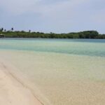 Buccoo Reef and Nylon Pool Adventure - What to Expect on the Tour