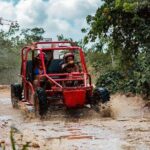 Buggy Adventure & Catamaran Cruise Combo with Taino Park Visit - Final Thoughts