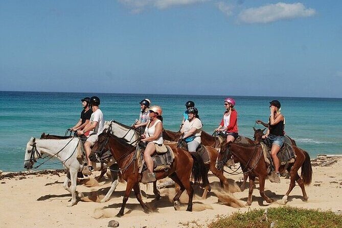 Buggy Horses and Zip Line from Punta Cana with Lunch Included - Whats Included and What to Expect