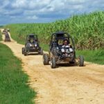 Buggy sunset - Full day - Small group - Why This Tour Offers Real Value
