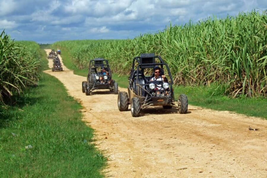 Buggy sunset - Full day - Small group - Why This Tour Offers Real Value