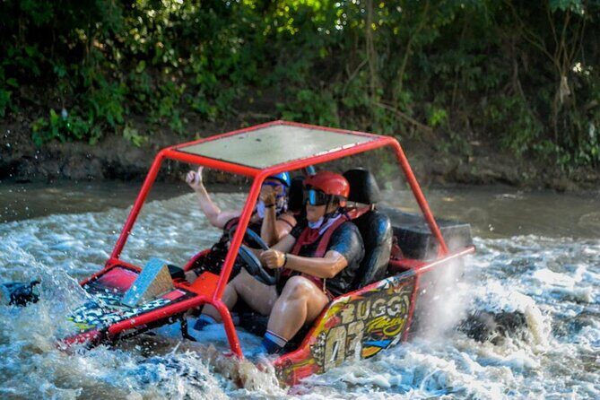 Buggy tour 3 hours in Puerto Plata - Who Will Love This Tour?