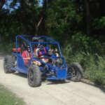 Buggy Tour from Sosua - Who Will Love This Tour?