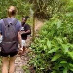Bush Hiking to explore Wild Plants & Fresh Fruits,Montego Bay - The Itinerary: What to Expect