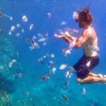 BVI Daytrip on private powerboat with snorkeling - Practical Details and Value