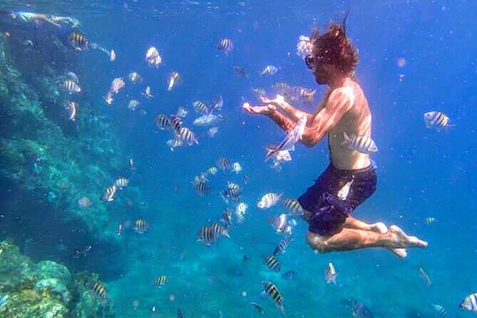 BVI Daytrip on private powerboat with snorkeling - Practical Details and Value