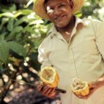 Cacao trail and making of chocolate tour from Santo Domingo - Why This Tour Fits Certain Travelers Best