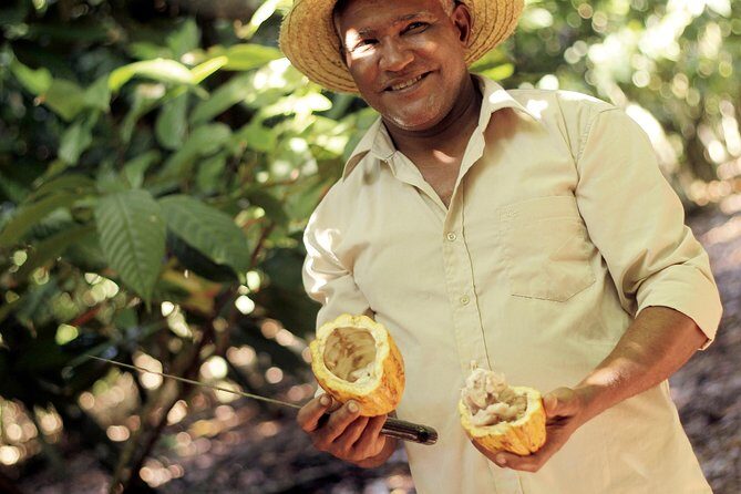 Cacao trail and making of chocolate tour from Santo Domingo - Why This Tour Fits Certain Travelers Best