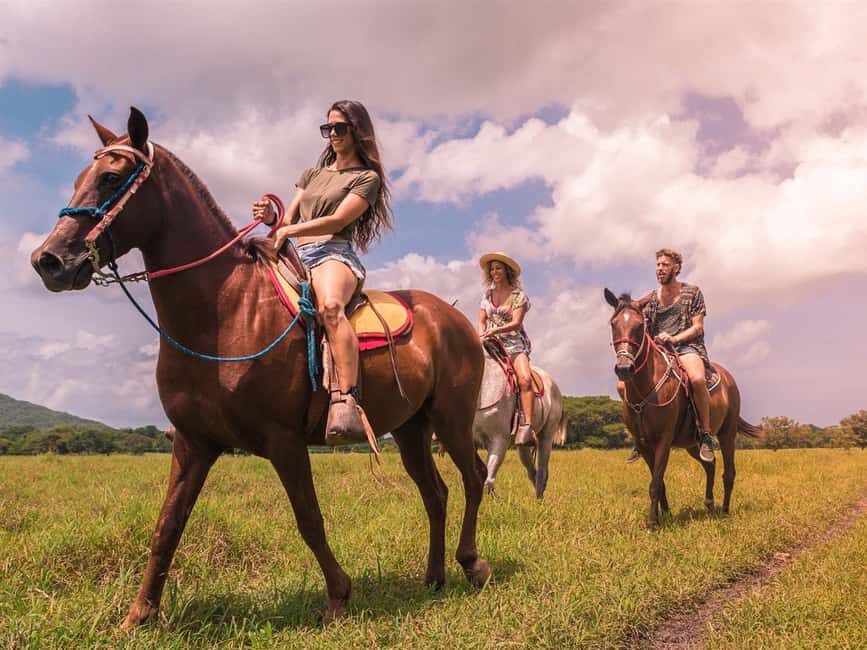 Caño Hondo: Horseback Riding and Boat Tour in Los Haitises - Who It’s Best For