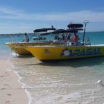 Capt Marvin Watersports / Parasail - Public Tour - Why This Tour Offers Value