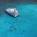 Caribbean Paradise Catamaran - Who Will Love This Tour?