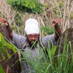 Caribbean Stonehenge - Hike on Green Castle Hill, Antigua. - The Sum Up: Who Will Appreciate This Experience?