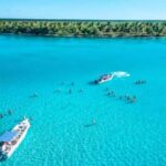 Carnevial Shore Excursion: Saona Island with Speedboat Ride - Why This Tour Works
