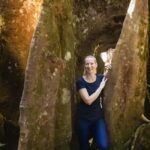 Castries St Lucia: Guided Rainforest Hike  Jacquot Trail - The Drive and Safety Briefing