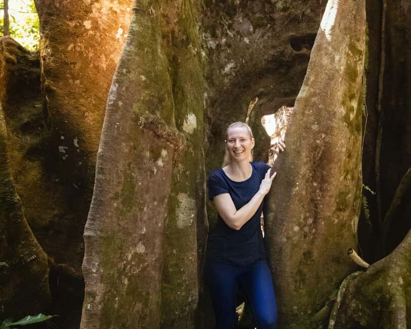 Castries St Lucia: Guided Rainforest Hike  Jacquot Trail - The Drive and Safety Briefing