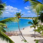 Catalina Island, Aventure of Snorkel, beach & Buffet Lunch - The Itinerary: Breaking Down the Day