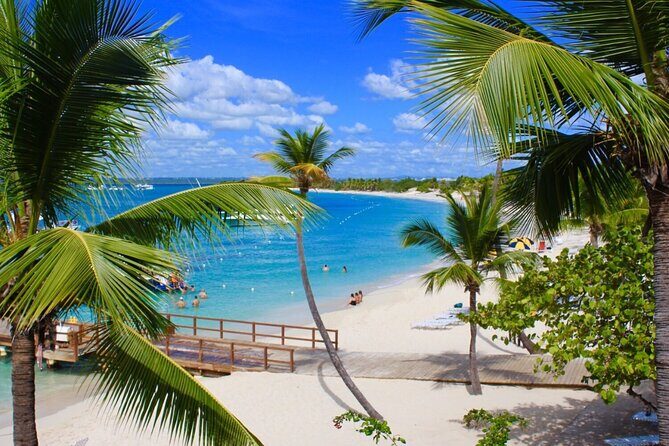 Catalina Island, Aventure of Snorkel, beach & Buffet Lunch - The Itinerary: Breaking Down the Day