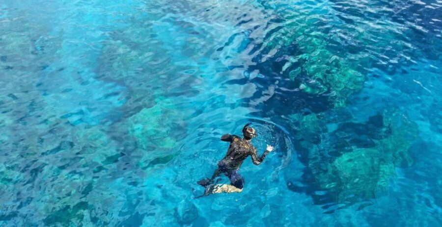 Catalina Island Catamaran Cruise with Lunch from Bayahibe - Practical Insights for Planning