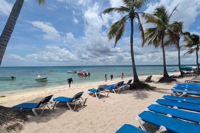 Catalina Island Day Tour  Explore the Jewel of the Caribbean - Snorkeling: Discover Underwater Color