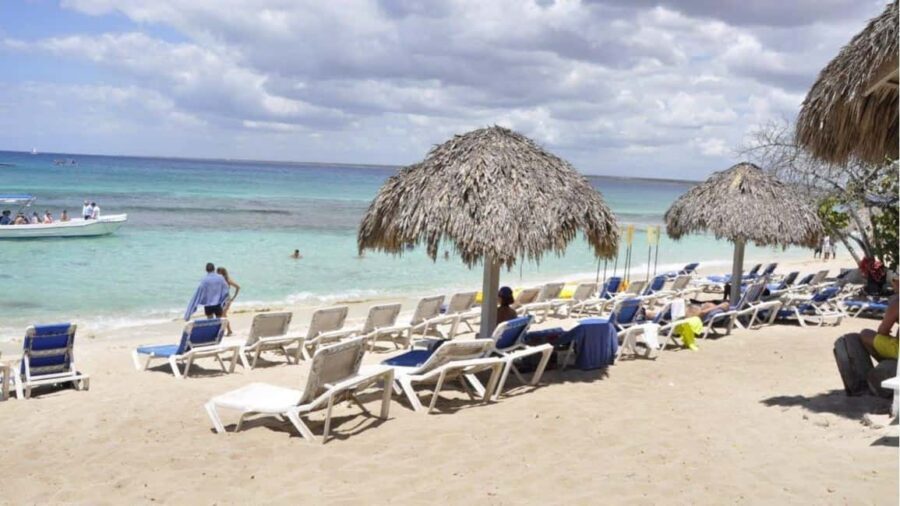 Catalina Island: Day Trip - Best Snorkeling! - The Realities of the Tour