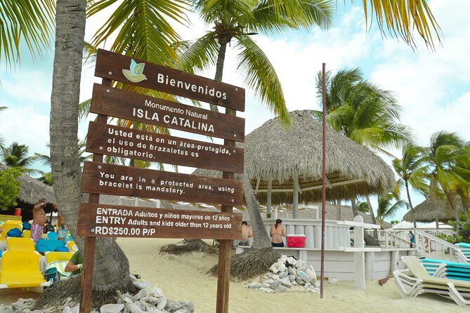 Catalina Island DayTrip + Great Snorkeling - What to Expect During the Day