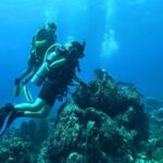 Catalina Island Diving Tour - Analyzing the Value: Is It Worth the $210?