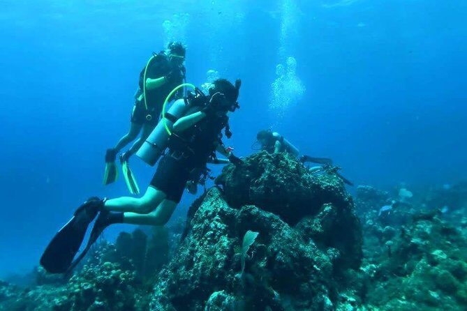 Catalina Island Diving Tour - Analyzing the Value: Is It Worth the $210?