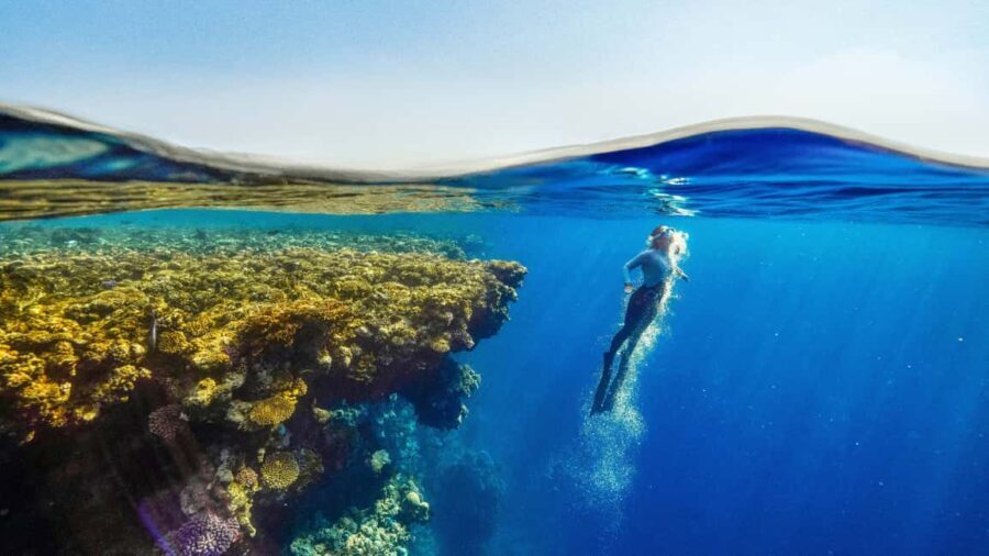 Catalina Island, even more pristine than Saona - The Realities: What This Tour Means for You