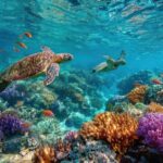 Catalina Island Even more unspoilt than Saona - What Travelers Are Saying