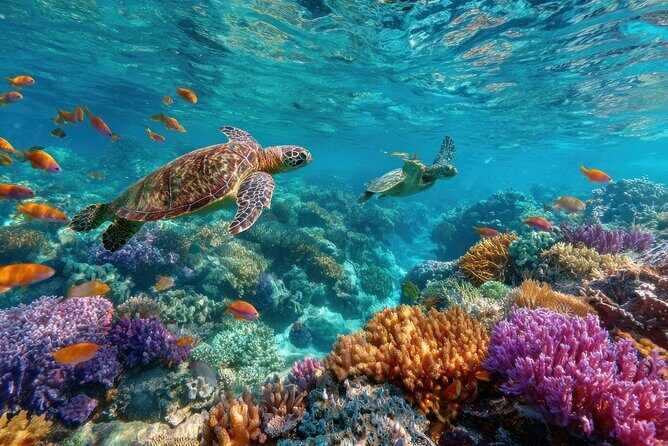 Catalina Island Even more unspoilt than Saona - What Travelers Are Saying