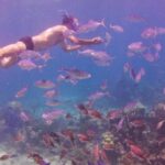 Catalina Island Full-Day Snorkeling Tour expedition - What Makes This Tour Stand Out