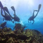 Catalina Island Scuba Diving and Snorkeling Tour from Punta Cana - Analyzing the Price and Value