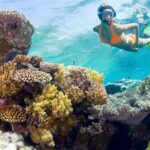 Catalina Island Snorkel Excursion from Punta Cana - The Pros and Cons: What Sets This Tour Apart?