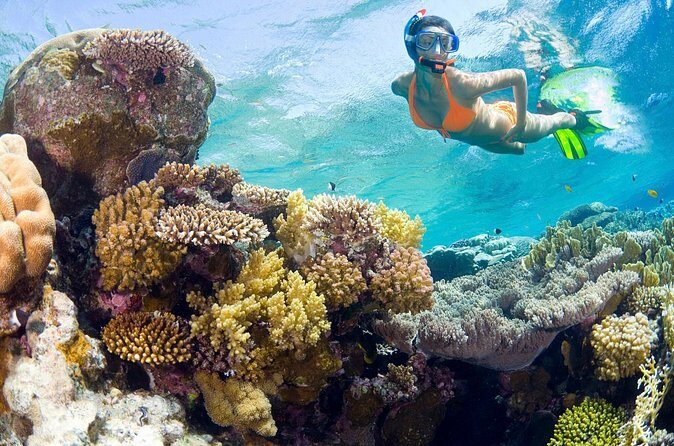Catalina Island Snorkel Excursion from Punta Cana - The Pros and Cons: What Sets This Tour Apart?