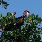 Catalina Island - Snorkeling tour on a luxury catamaran - FAQ