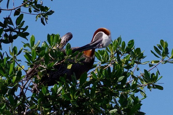 Catalina Island - Snorkeling tour on a luxury catamaran - FAQ