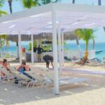 Catalina Island tour - The Realities and Considerations