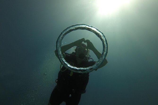 Catalina Island With Scuba Diving - Amazing Full Day Tour Activity - The Value for Travelers