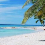 Catalina Island with Snorkeling from Punta Cana - The Reality: What You Should Know