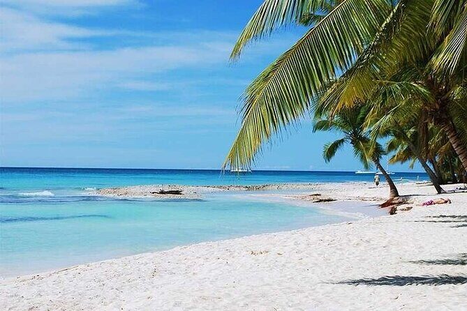 Catalina Island with Snorkeling from Punta Cana - The Reality: What You Should Know