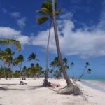 Catalina Snorkeling Wall and Altos Chavon Tour - Authentic Elements and Traveler Insights