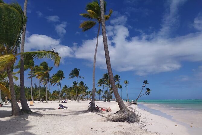 Catalina Snorkeling Wall and Altos Chavon Tour - Authentic Elements and Traveler Insights