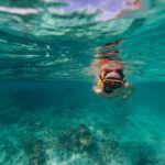 Catamaran and Snorkeling Cruise At Carlisle Bay - Who Should Book This Tour?