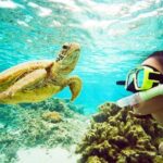 Catamaran cruise with Dunn's River falls from Ocho Rios - Who Will Love This Tour?