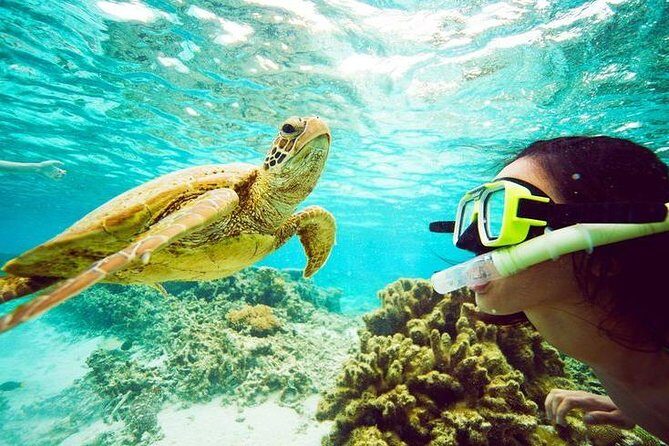 Catamaran cruise with Dunn's River falls from Ocho Rios - Who Will Love This Tour?