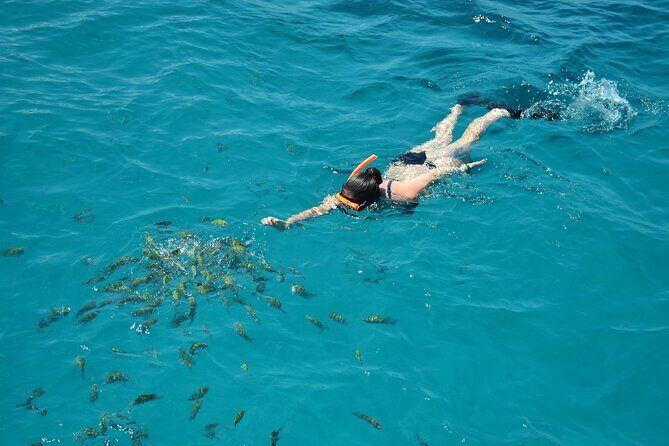 Catamaran Cruise with Snorkeling & Private Transfer Montego Bay - An in-Depth Look at the Experience